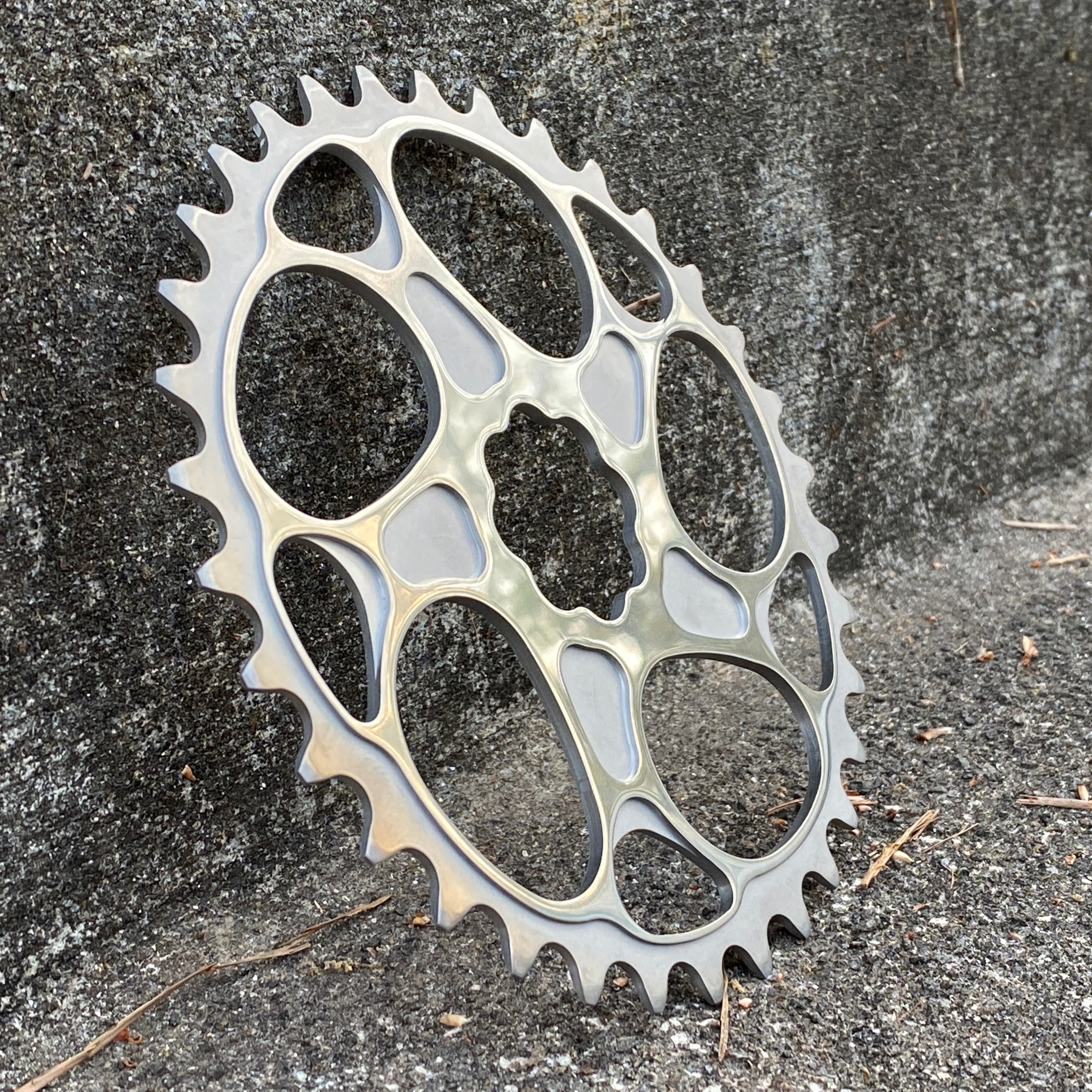 Boone Titanium Double Step Direct Drive Chainring – Boone Technologies Inc.